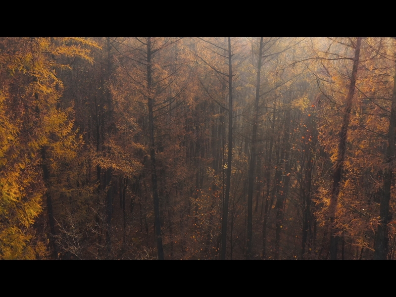 Epic Autumn Aerial Fog Sunset | Motion Worship | WorshipHouse Media