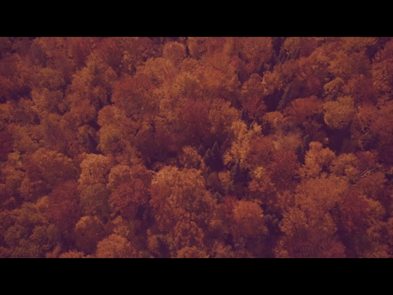 Epic Autumn Aerial Overhead Slow | Motion Worship | WorshipHouse Media