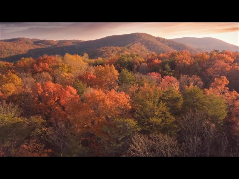 Epic Autumn Aerial Vivid Trees | Motion Worship | WorshipHouse Media