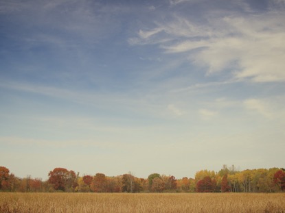 Fall Colors Blue Sky | Motion Worship | WorshipHouse Media