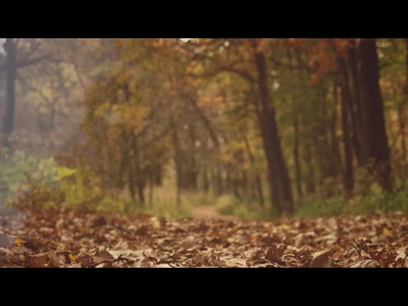 Fall Colors Long Play | Motion Worship | WorshipHouse Media