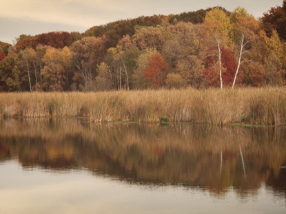 Fall Colors Water Reflections | Motion Worship | WorshipHouse Media