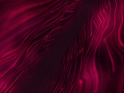 Flow Line Pink Slow | Motion Worship | WorshipHouse Media