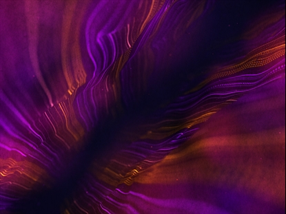 Flow Line Purple Gold Slow | Motion Worship | WorshipHouse Media