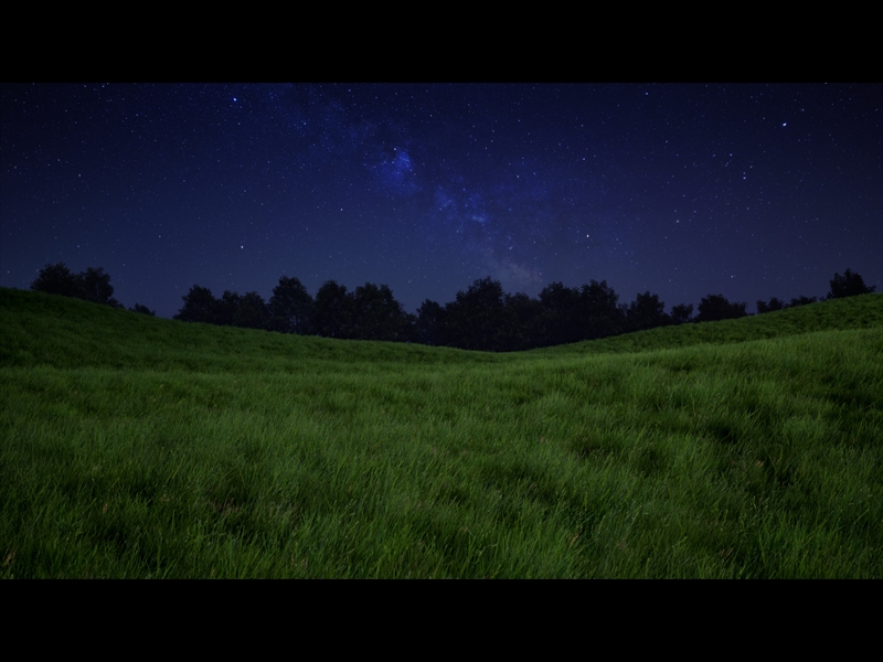 Prairie Grass Field Night | Motion Worship | WorshipHouse Media