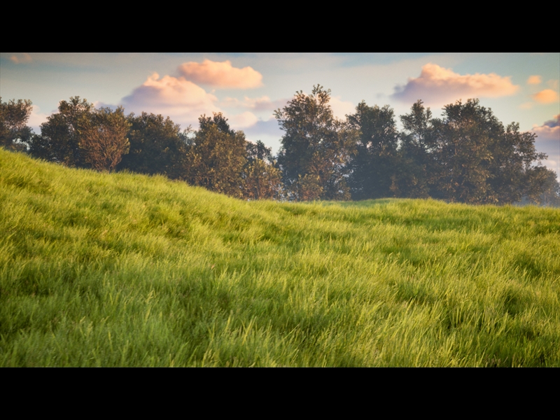 Prairie Meadow Drift | Motion Worship | WorshipHouse Media