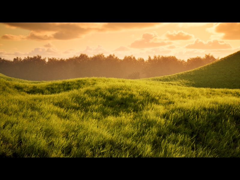 Prairie Sunset Field | Motion Worship | WorshipHouse Media