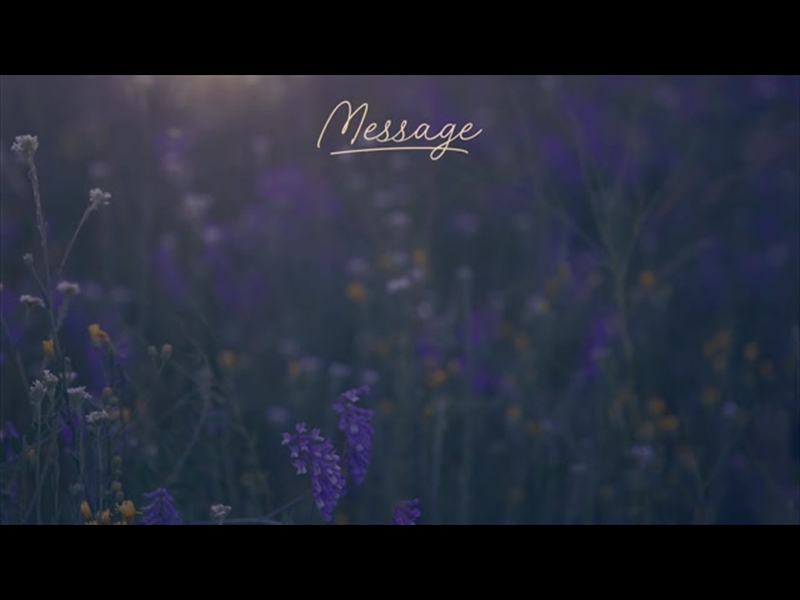 Summer Wildflower Message | Motion Worship | WorshipHouse Media