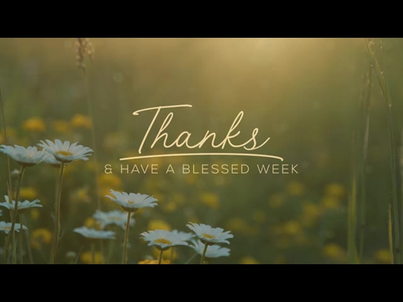 Summer Wildflower Thanks | Motion Worship | WorshipHouse Media