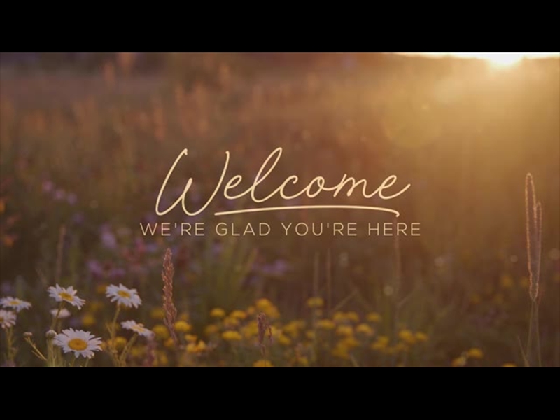 Summer Wildflower Welcome | Motion Worship | WorshipHouse Media