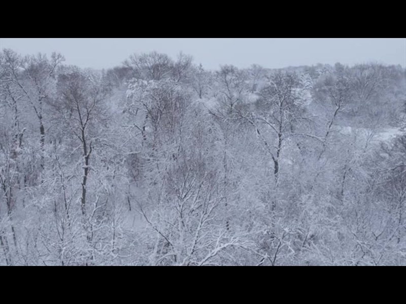 Page 11 | Trending Worship Backgrounds & Loops for Church ...