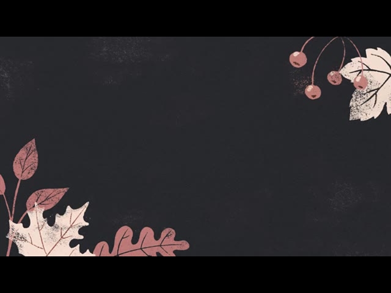 Fall Feelings Collection | MYK | WorshipHouse Media