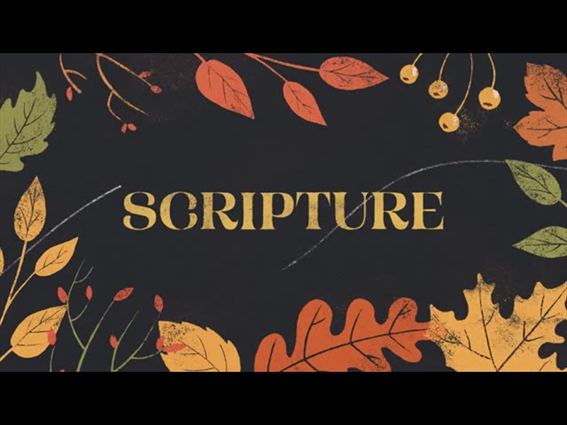 Fall Feelings Collection | MYK | WorshipHouse Media