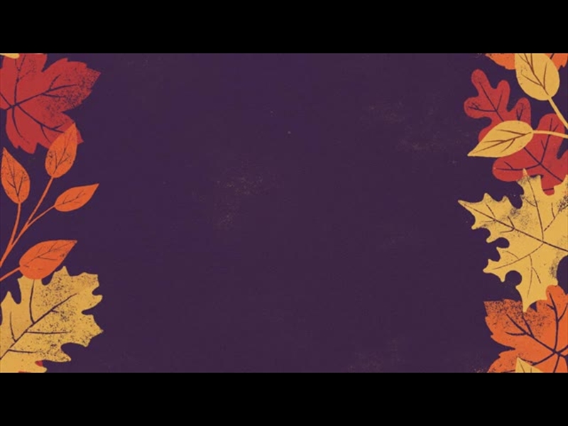 Fall Feelings Vertical Motion | MYK | WorshipHouse Media