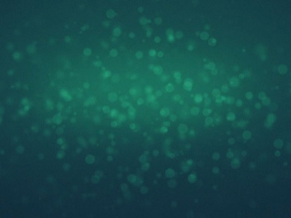 Lush Forest Rotating Particles | NewWorshipMedia | WorshipHouse Media