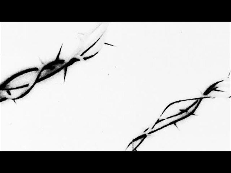 Easter Xxv Motion Background 04 | New Vision Media | WorshipHouse Media