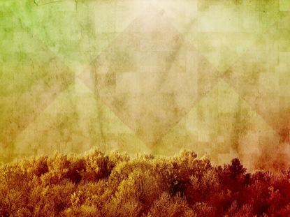 Forest Of Diamonds Collection | Oneness Videos | WorshipHouse Media