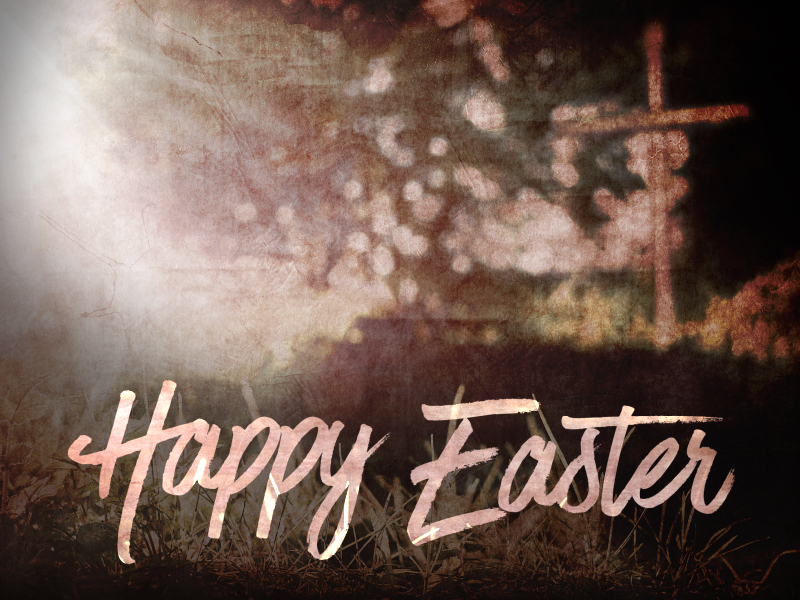 Across The Path Easter Motion | Playback Media | WorshipHouse Media