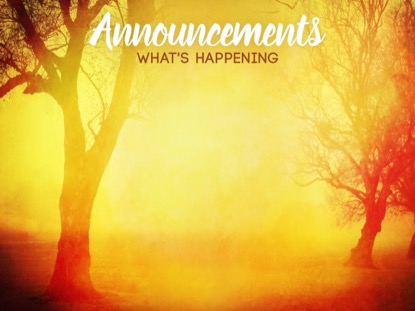 Autumn Forest Announcement Motion | Playback Media | WorshipHouse Media