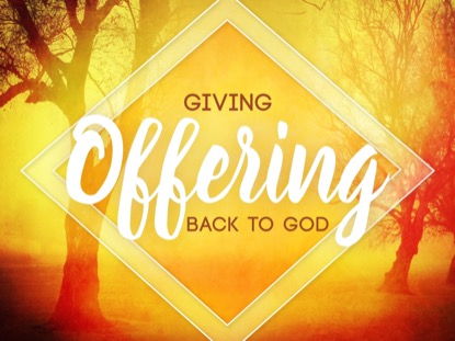 Autumn Forest Offering 1 Motion | Playback Media | WorshipHouse Media