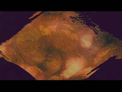 Autumn Spice 9 Motion | Playback Media | WorshipHouse Media