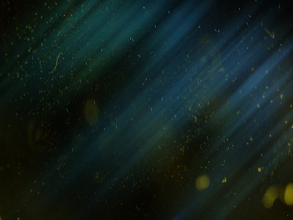 Blue Slash | Playback Media | Playback Media Store