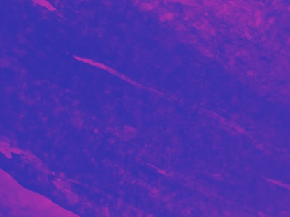 Color Dynamics Collection | Playback Media | Playback Media Store