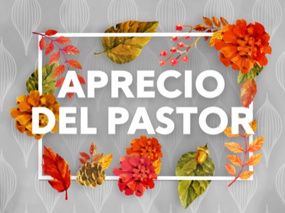 Colors Of Fall Pastor Appreciation Motion - Spanish | Playback Media ...