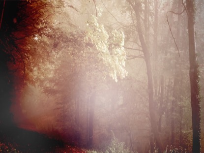 Crisp Morning 1 Motion | Playback Media | WorshipHouse Media