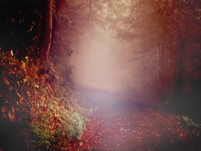 Crisp Morning 3 Motion | Playback Media | Playback Media Store