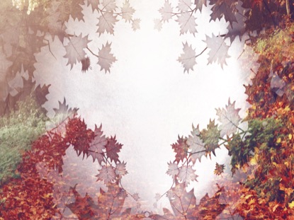 Crisp Morning 4 Motion | Playback Media | WorshipHouse Media