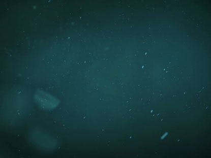 Defy Gravity | Playback Media | WorshipHouse Media