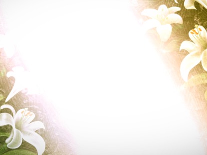 Easter Lilies Motion 3 | Playback Media | WorshipHouse Media