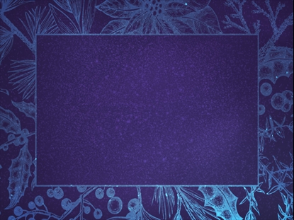 Everlasting Light Collection | Playback Media | Playback Media Store