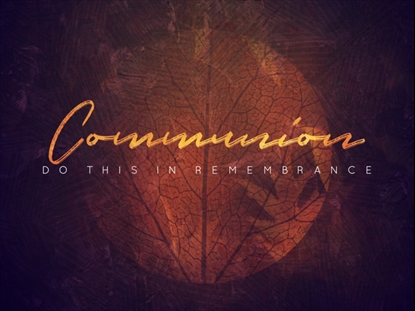 Fall Into Grace Collection | Playback Media | Playback Media Store