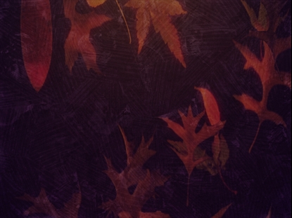 Fall Into Grace Collection | Playback Media | Playback Media Store