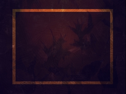 Fall Into Grace Collection | Playback Media | Playback Media Store