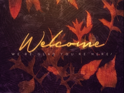 Fall Into Grace Welcome Motion | Playback Media | Playback Media Store