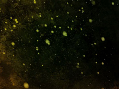 Flying Particles Motions | Playback Media | Playback Media Store