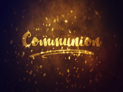 Search | Playback Media Store