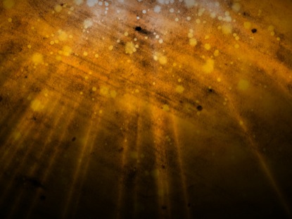 Gold Burst | Playback Media | Playback Media Store