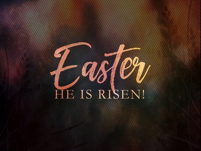 Grace Of Easter Easter Motion | Playback Media | WorshipHouse Media