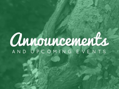 Natural Serenity Announcements Motion | Playback Media | WorshipHouse Media