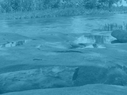 Natural Serenity Collection | Playback Media | WorshipHouse Media