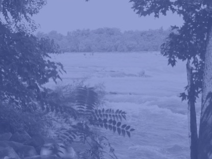 Natural Serenity Collection | Playback Media | Playback Media Store