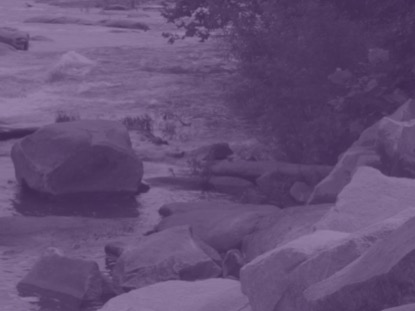 Natural Serenity Collection | Playback Media | Playback Media Store