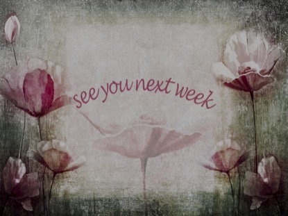 Spring Painting Service Pack | Playback Media | Playback Media Store