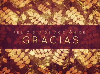 Thanksgiving Gratitude Holiday 1 Motion - Spanish | Playback Media ...