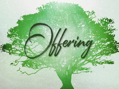 Tree Of Life Offering Motion | Playback Media | Playback Media Store