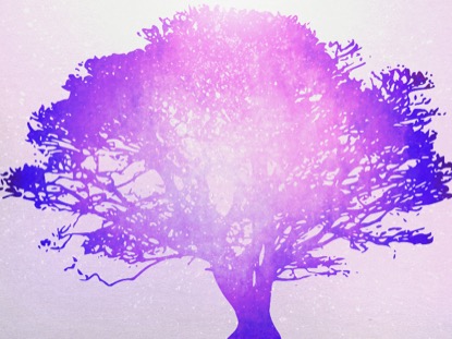 Tree Of Life Purple 1 Motion | Playback Media | Playback Media Store